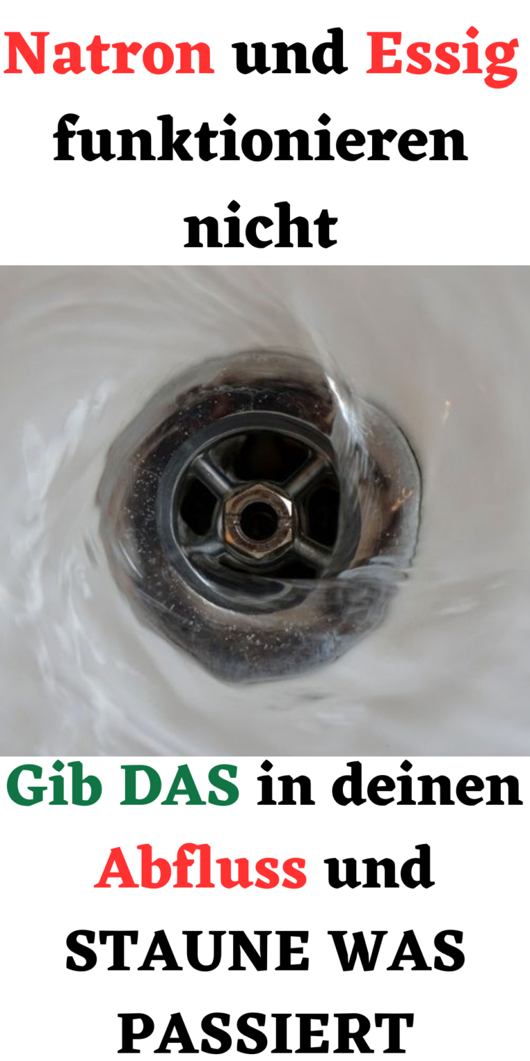 Natürliche Wege, um einen verstopften Abfluss zu beseitigen – garten tipps